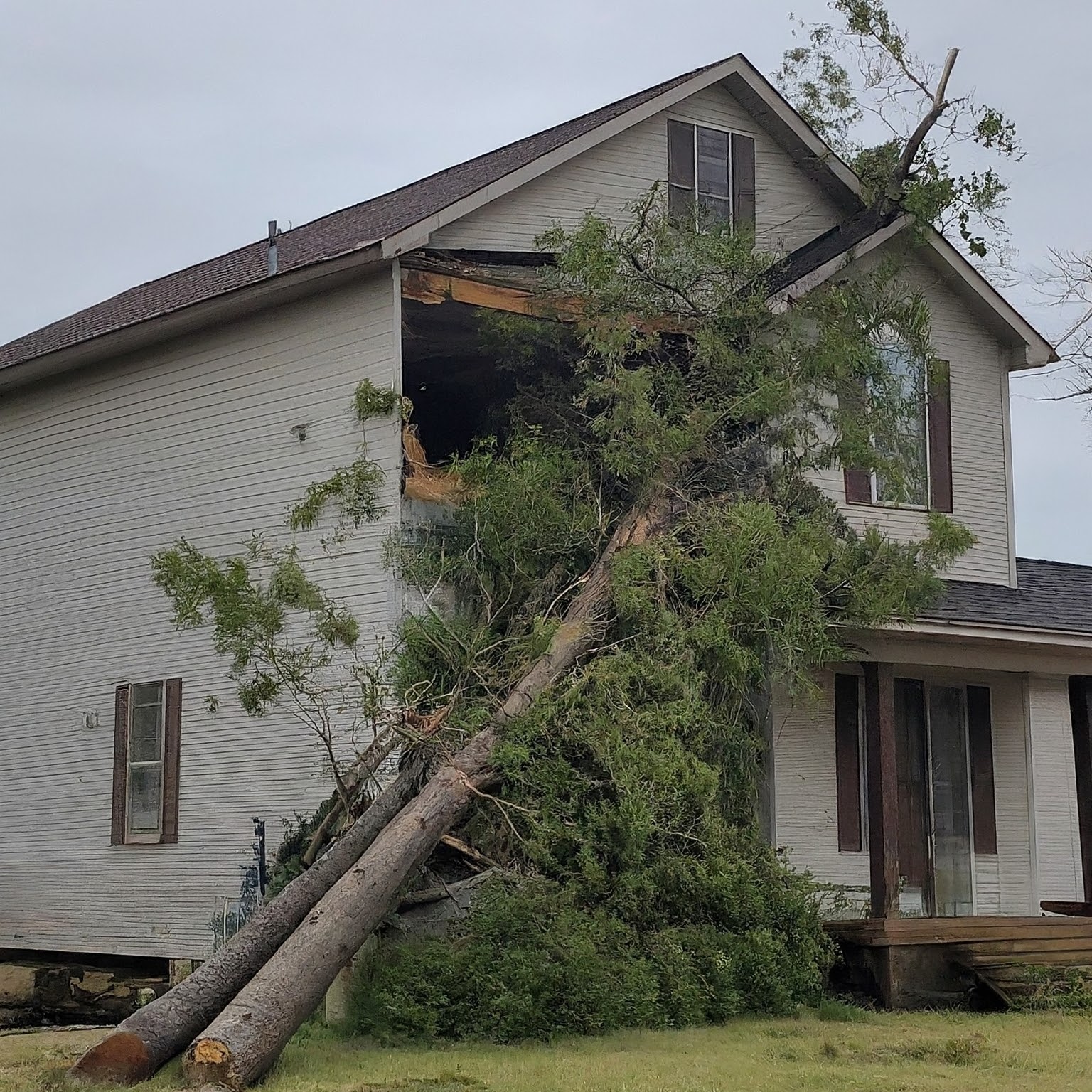 Emergency Tree Removal Augusta ⋆ Searcy Tree Service